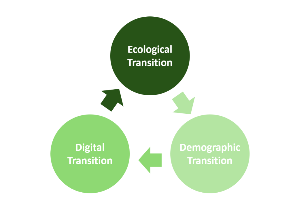 Effective Transitions Planning in 2024 - Espace Stratégies